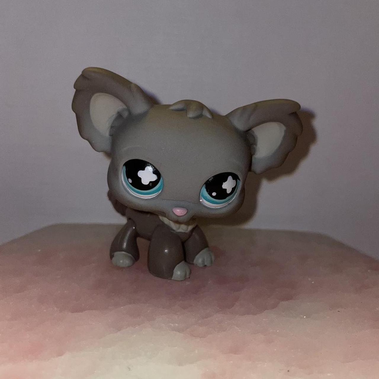 Littlest Pet Shop chihuahua #836 LPS - Depop