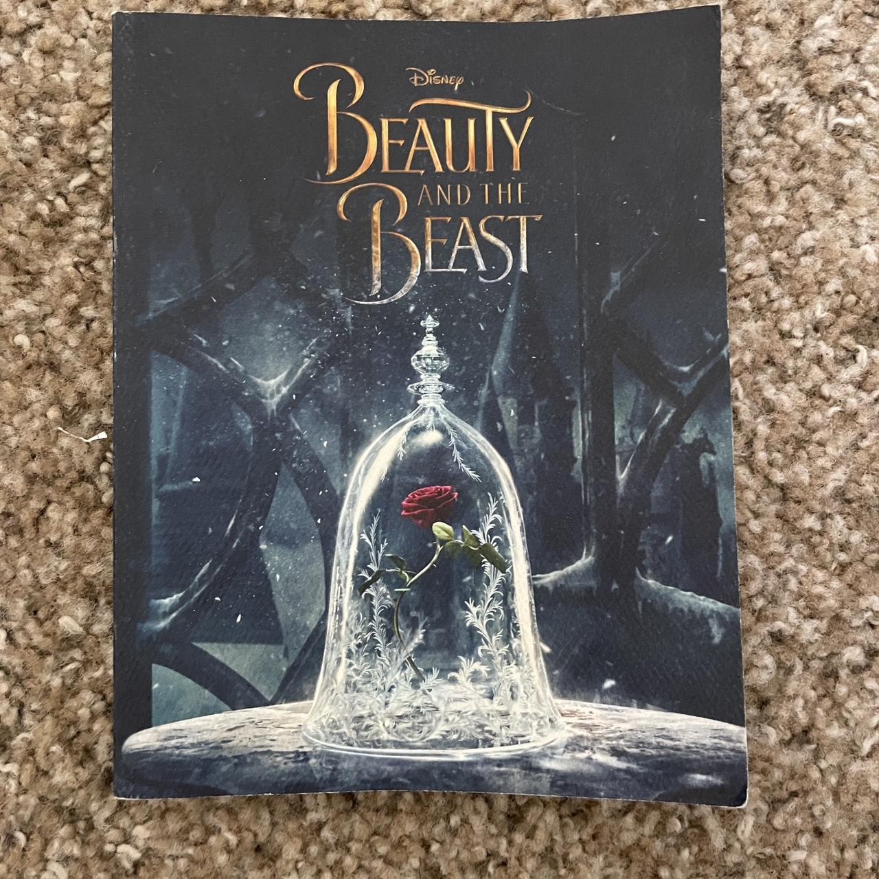 Disney Beauty and the Beast novel paperback - Depop
