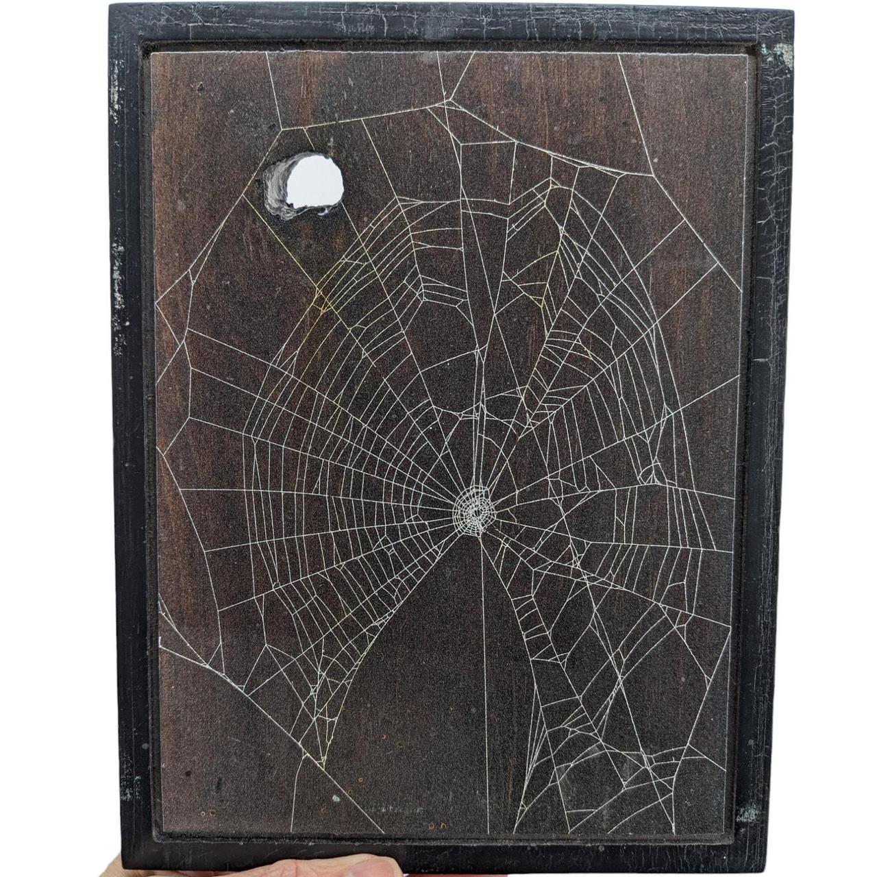 Vintage Preserved Spider Web Folk Art Really cool... - Depop
