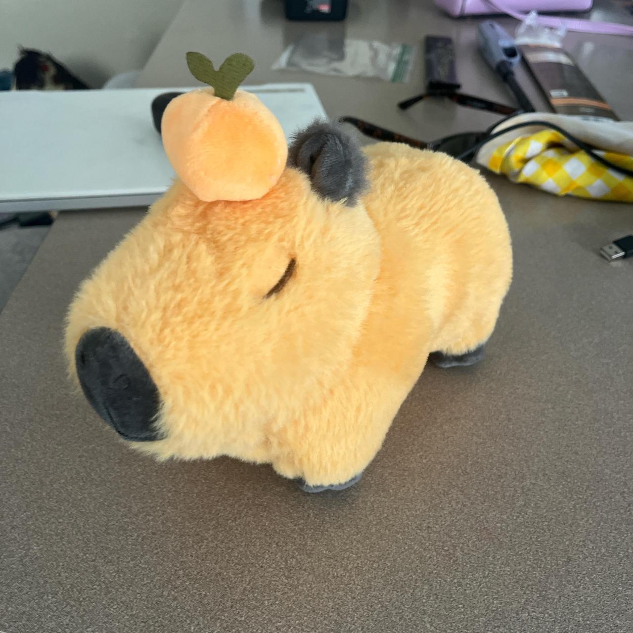 Orange capybara - Depop