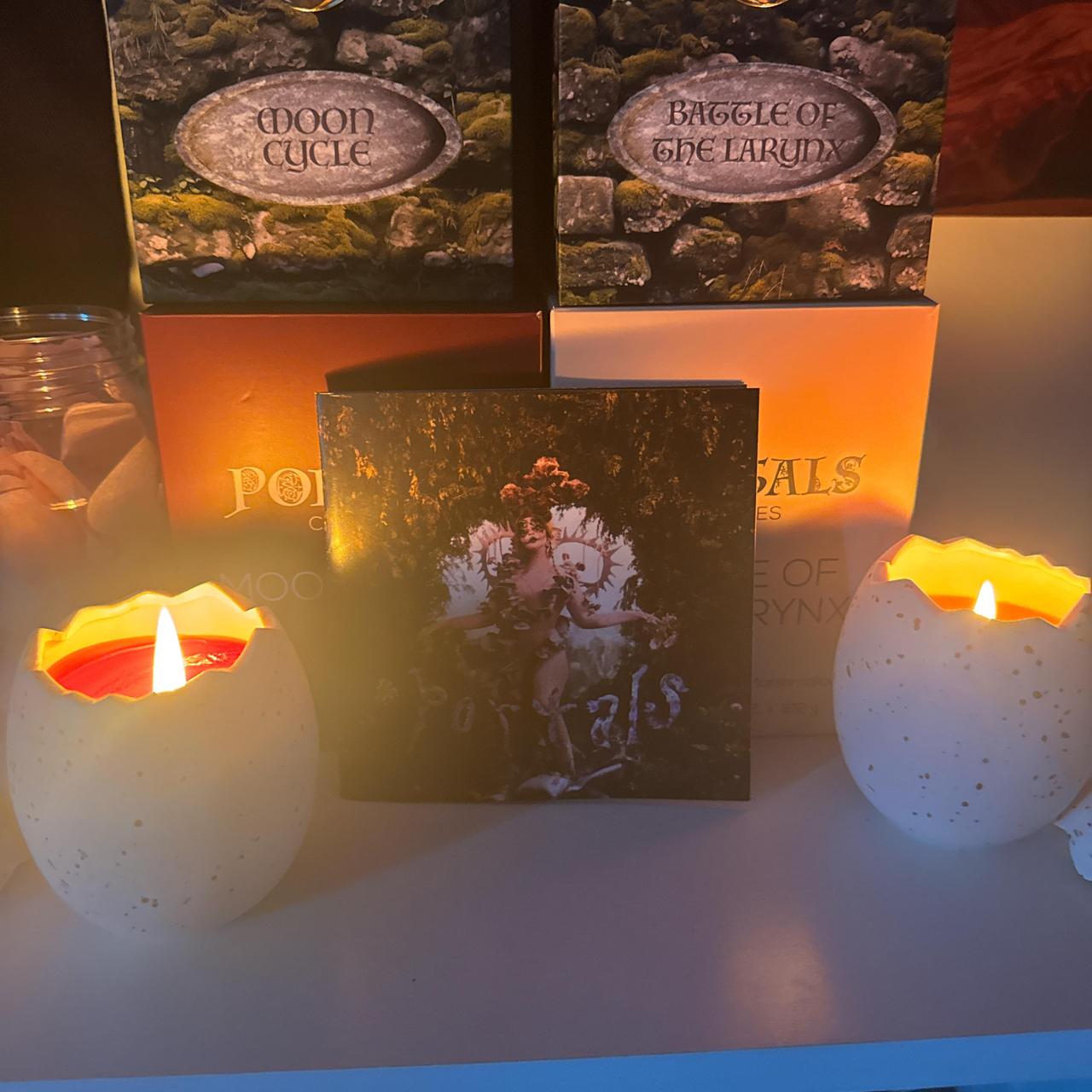 Portals Melanie Martinez Book Came with the Portals Cd - Depop