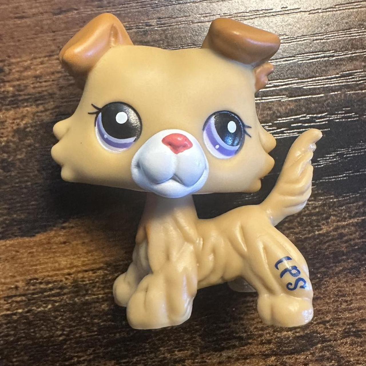 Littlest Pet Shop collie #LPS #littlestpetshops -... - Depop