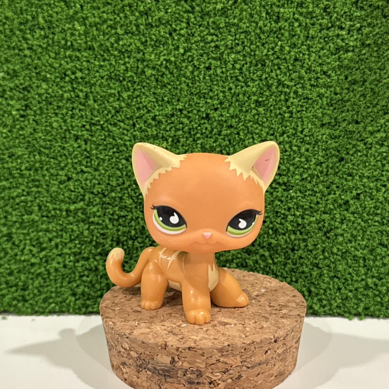 aft3rm4rket lps #525 holes in each ear each... - Depop