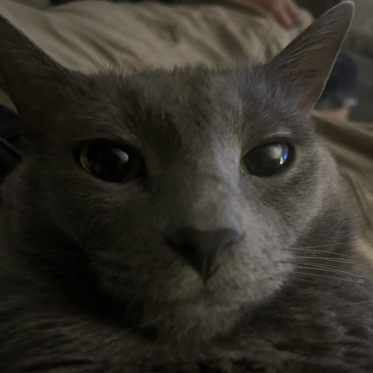 Vintage Plussize grail JNCO balenciaga Mariela gyatt... | Depop