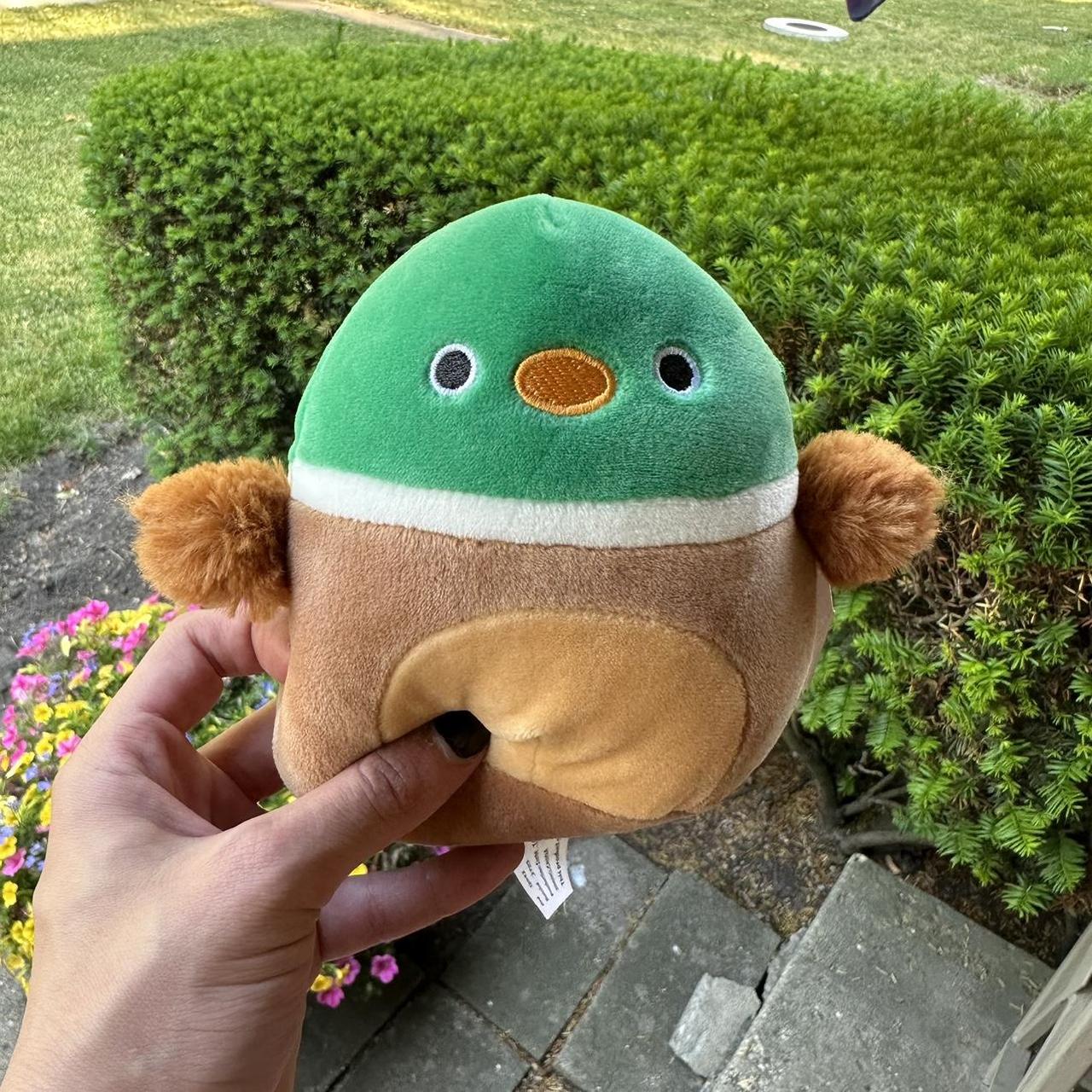 5” inch Avery the mallard/duck squishmallow This... - Depop
