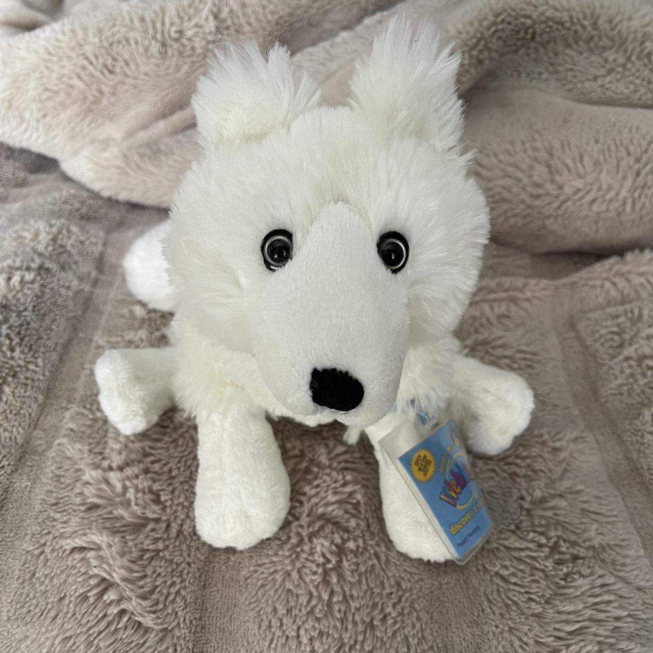 Never been used still has tags webkinz arctic fox - Depop