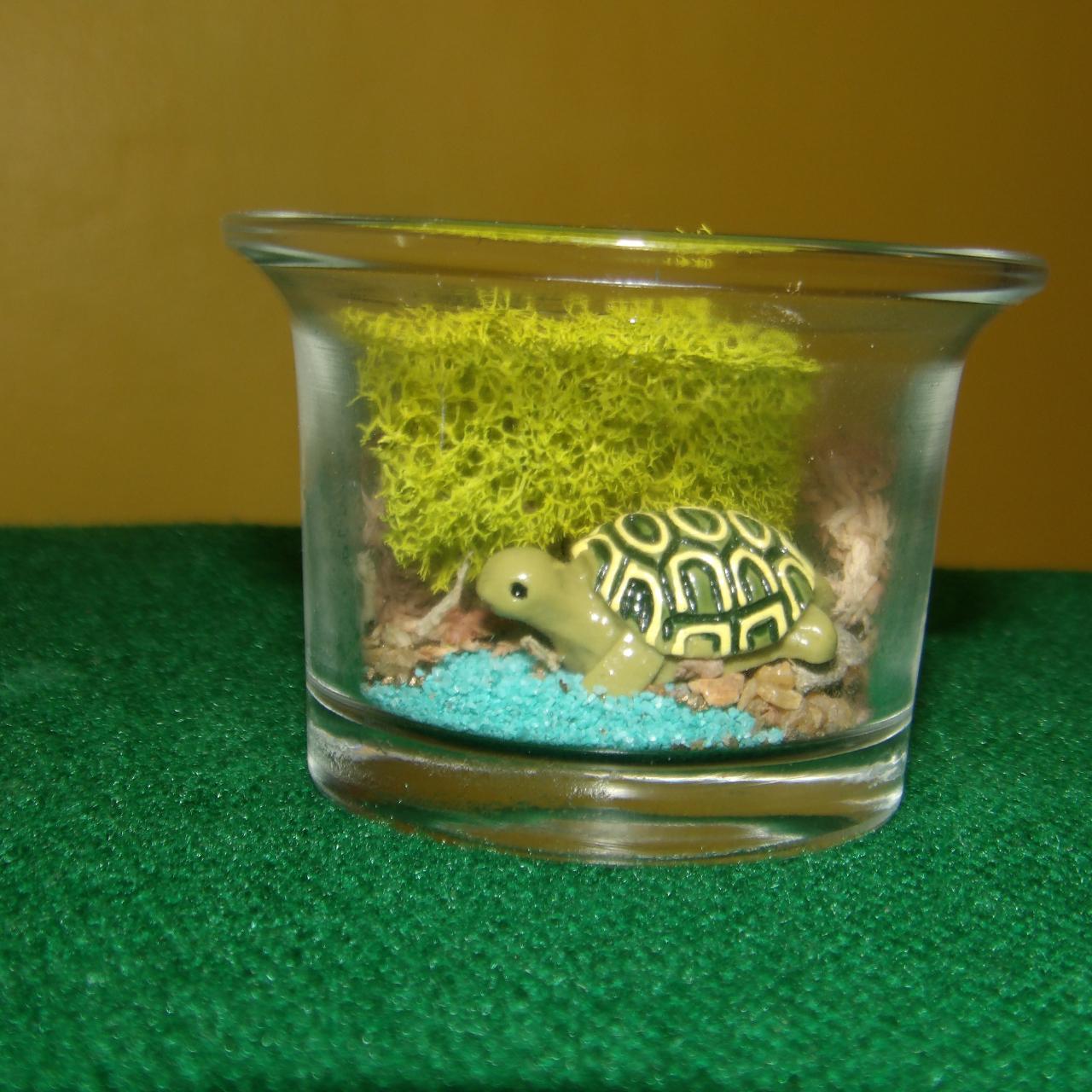 Lil' bit of nature - Miniature Turtle. Set with... - Depop