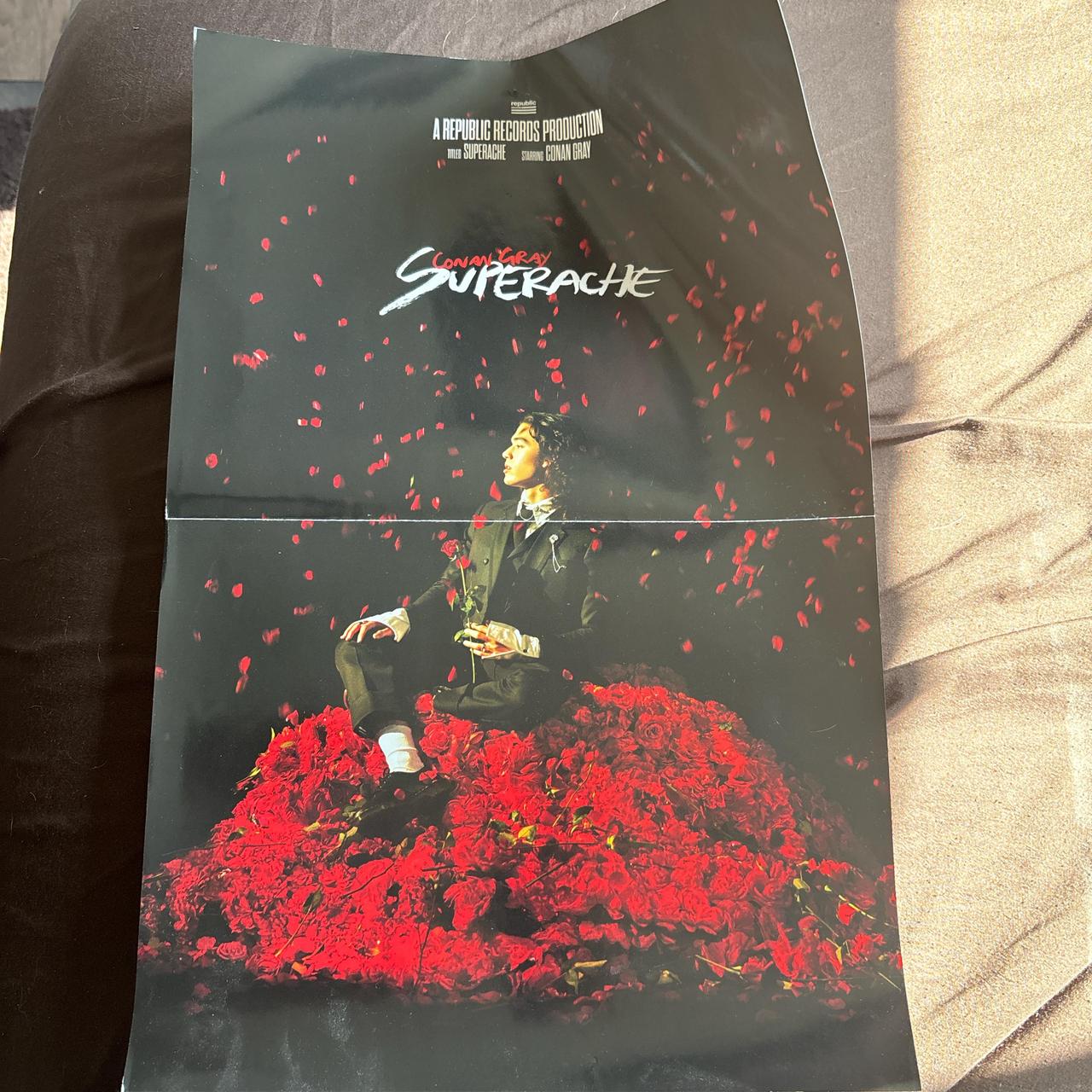 offical superache poster!! centre crease and the... | Depop