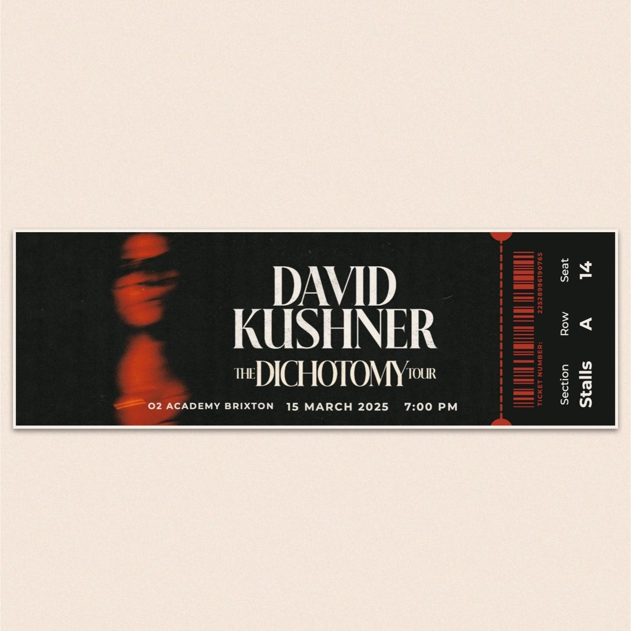Personalised David Kushner: The Dichotomy Tour... - Depop