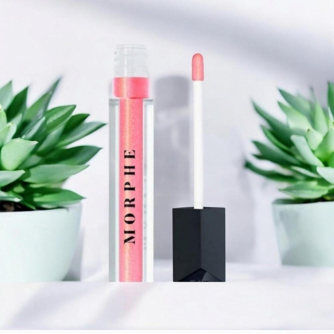 AUTHENTIC Guaranteed Brand new in box Morphe Lip... | Depop