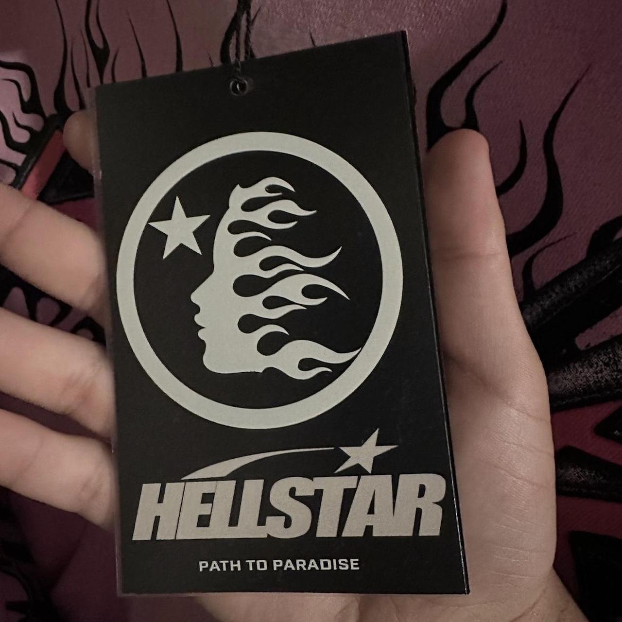 Hellstar Pink capsule hoodie Worn once come with bag... - Depop