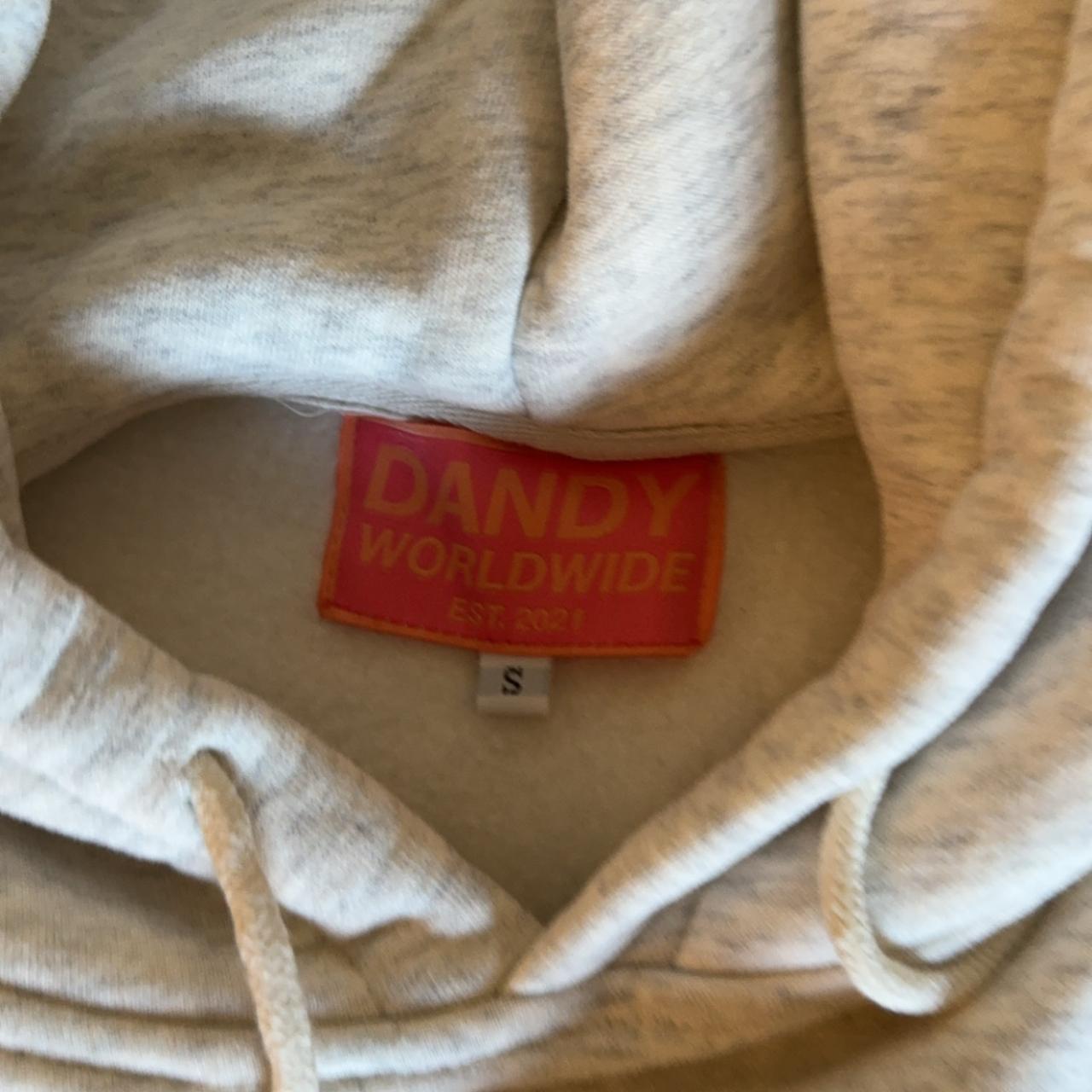 DANDY GIFT GIVING HOODIE (grey) (NEW WITHOUT TAGS... - Depop