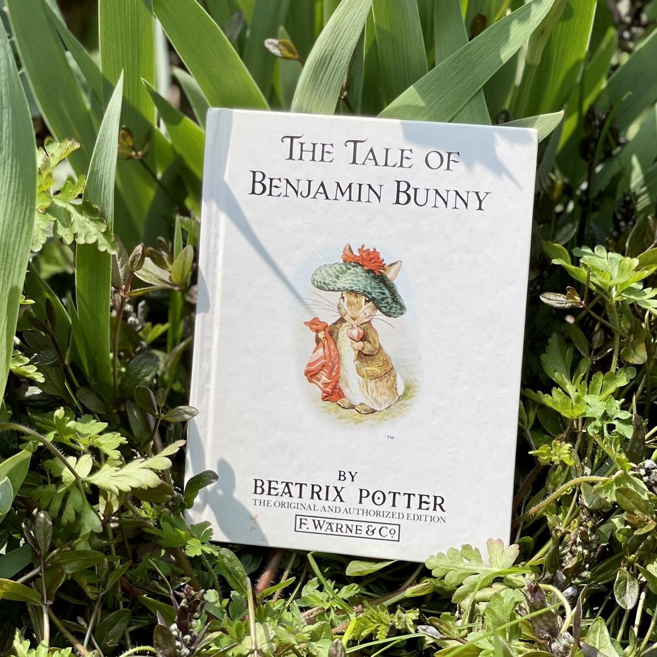 Beatrix Potter Book Set 🥕 eight of the most... - Depop