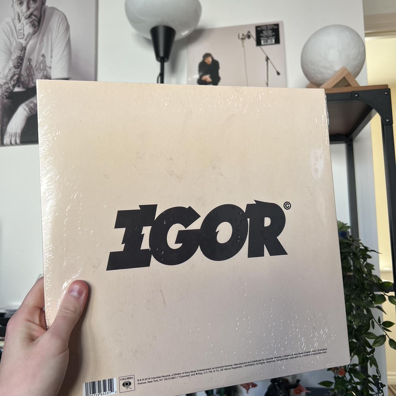 Tyler the creator IGOR vinyl very rare limited... - Depop