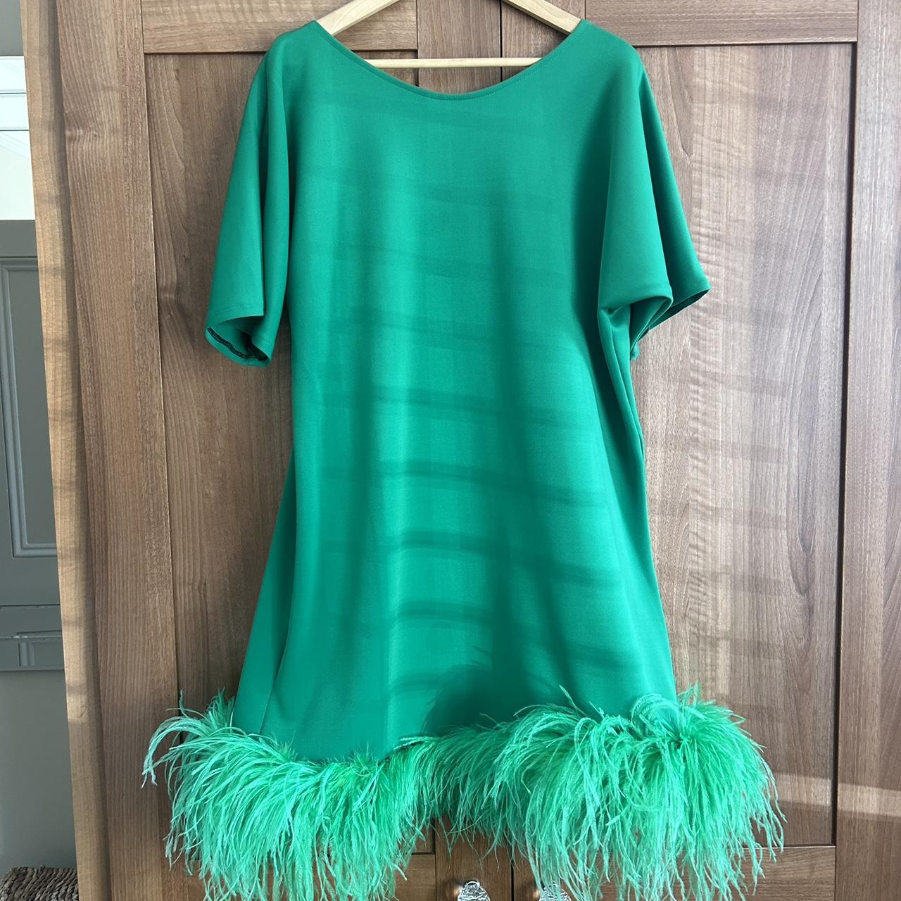 Saffiyyah Paul Feather dress RRP £270 Stunning... - Depop