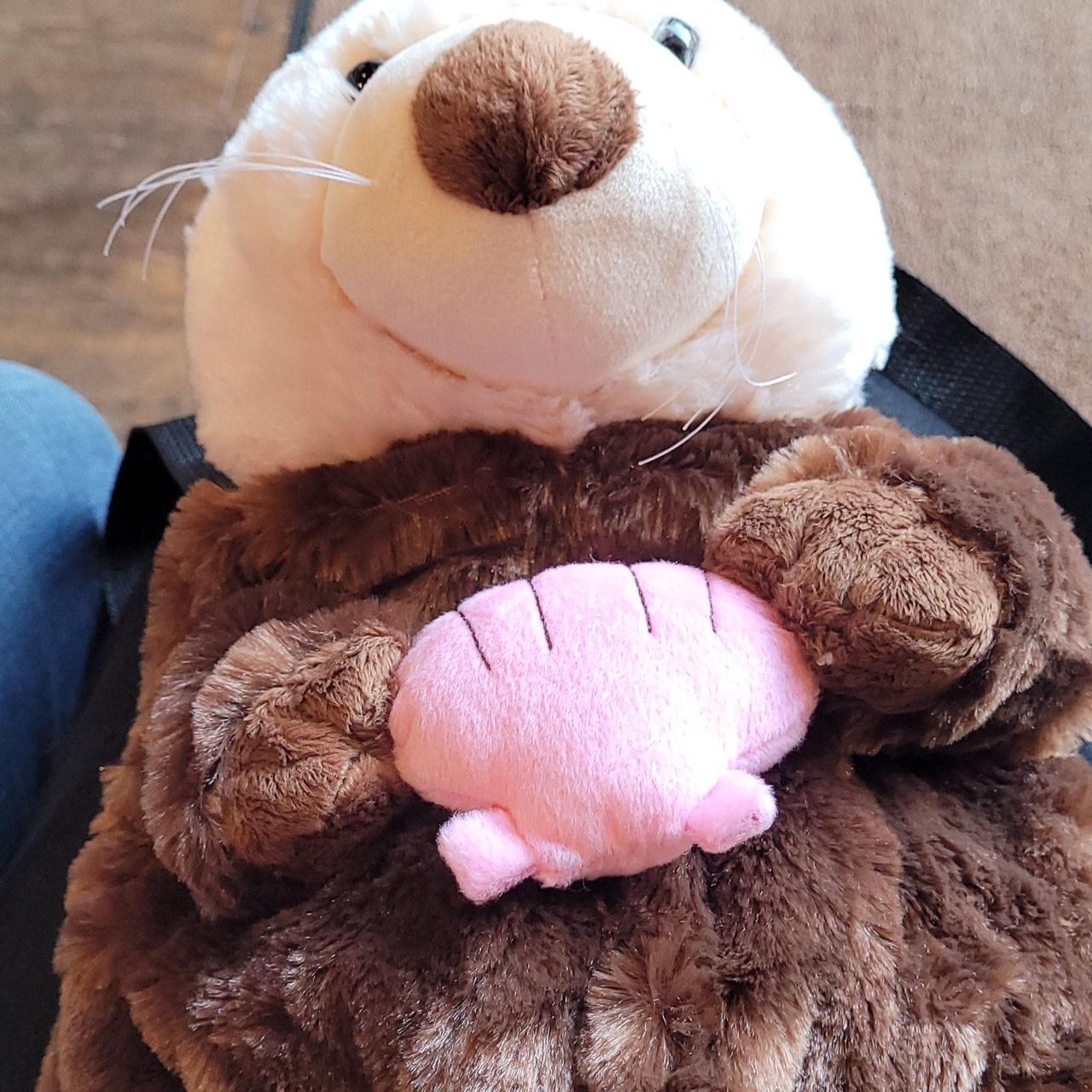 Sea otter backpack from Monterey bay aquarium! - Depop