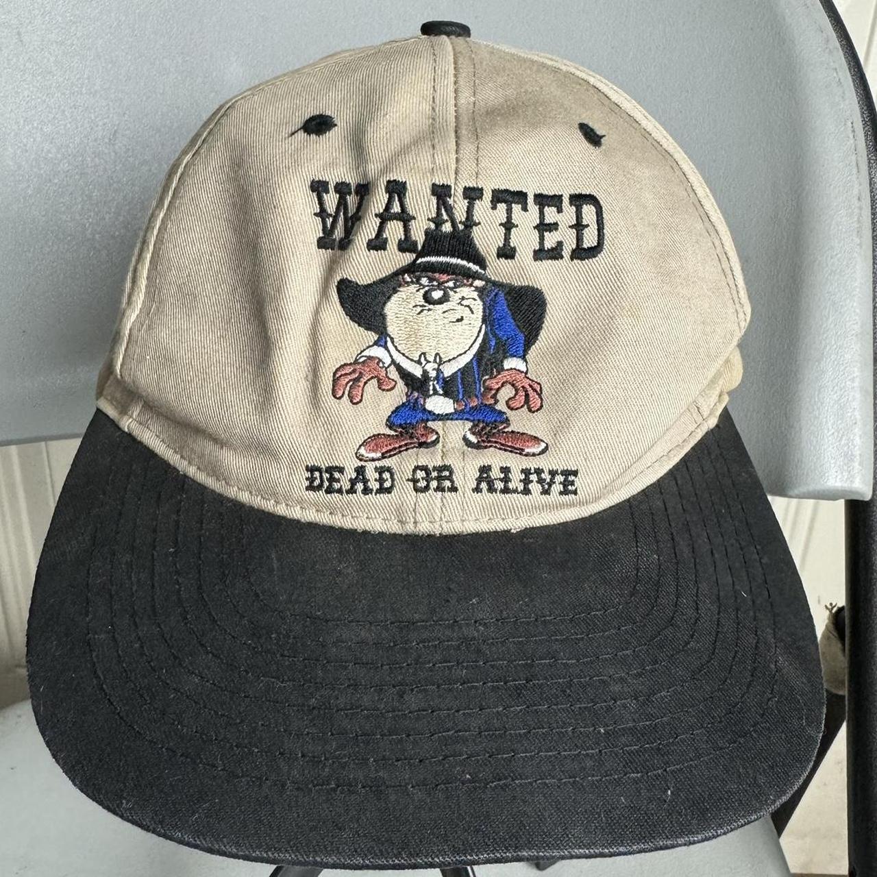 Vintage 1996 Looney Tunes Taz Wanted Hat Snapback... - Depop