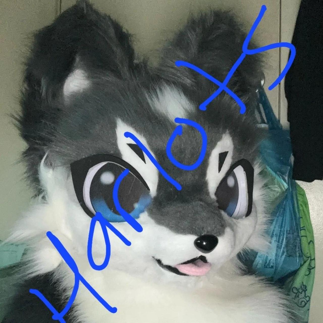 Gray kemono fursuit head can add paws for $75 DM... - Depop