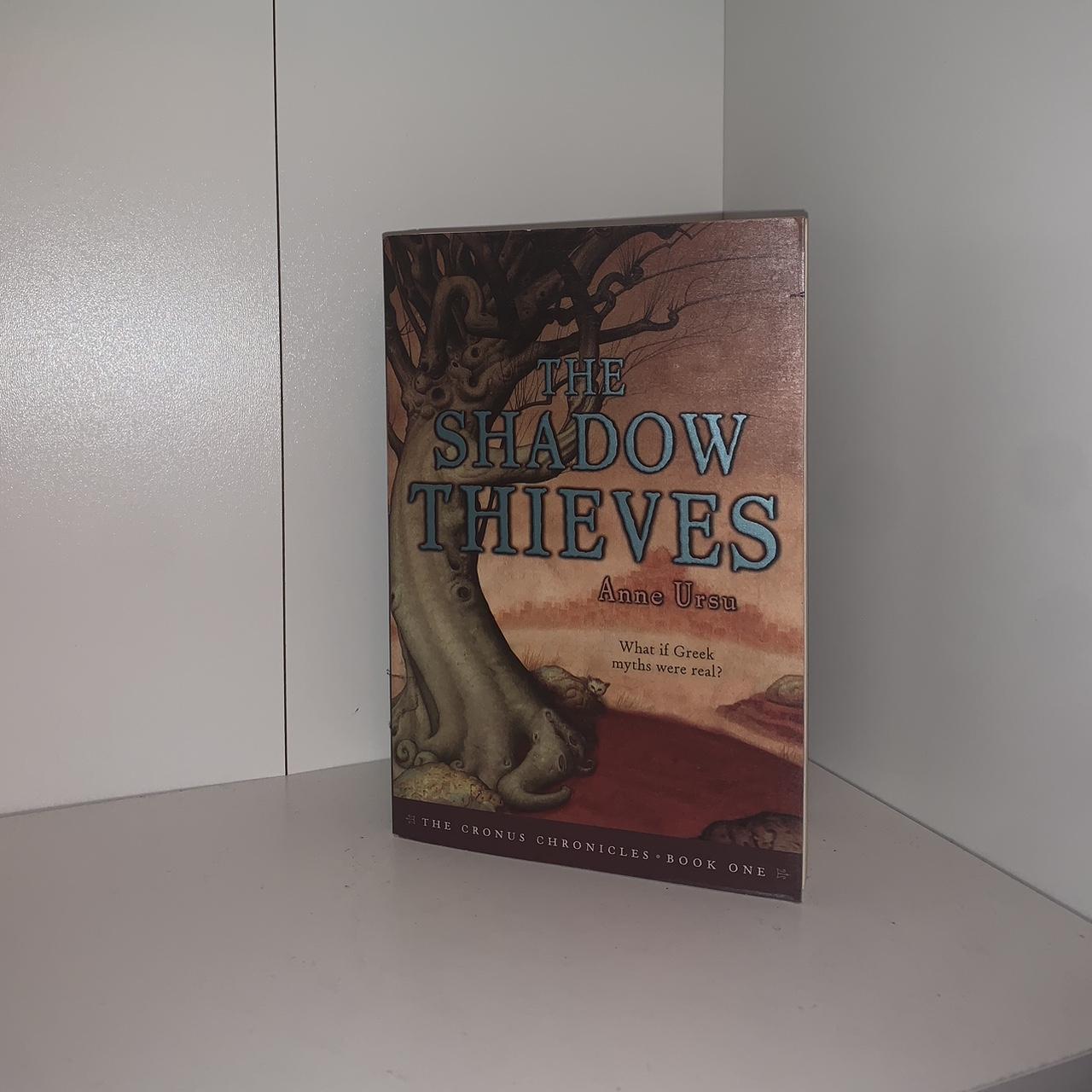 The Shadow Thieves It’s in good condition! No pages... - Depop