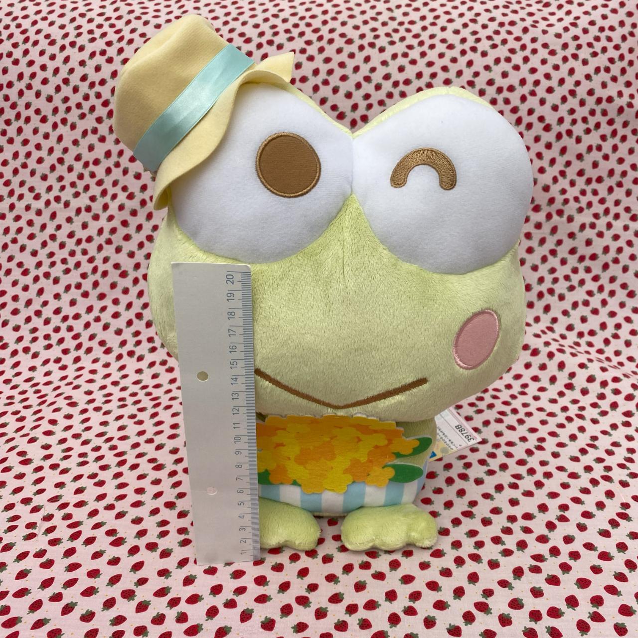 Kerropi winking Sanrio Frog Summer / Spring flowers... - Depop