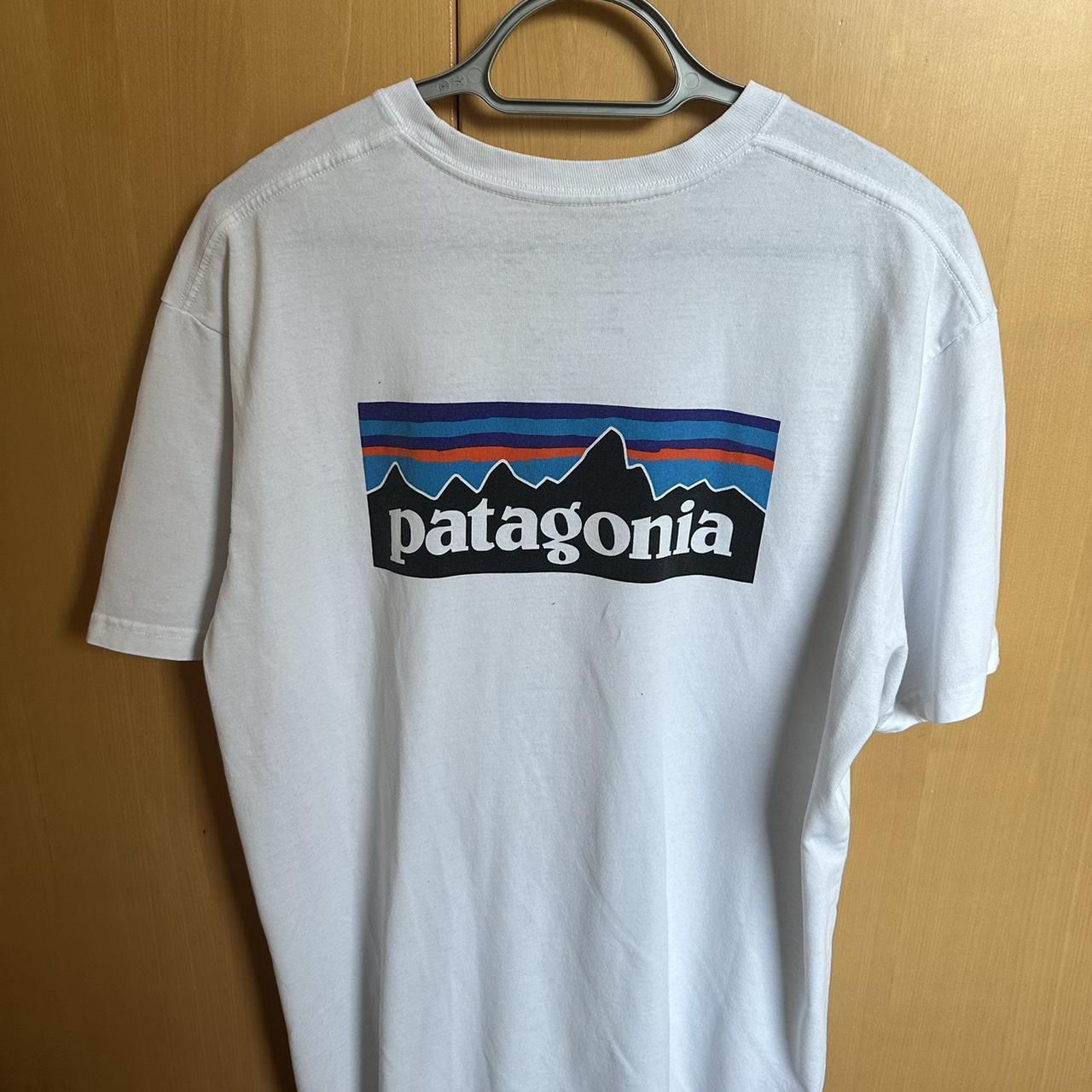 Patagonia Men's T-shirt | Depop