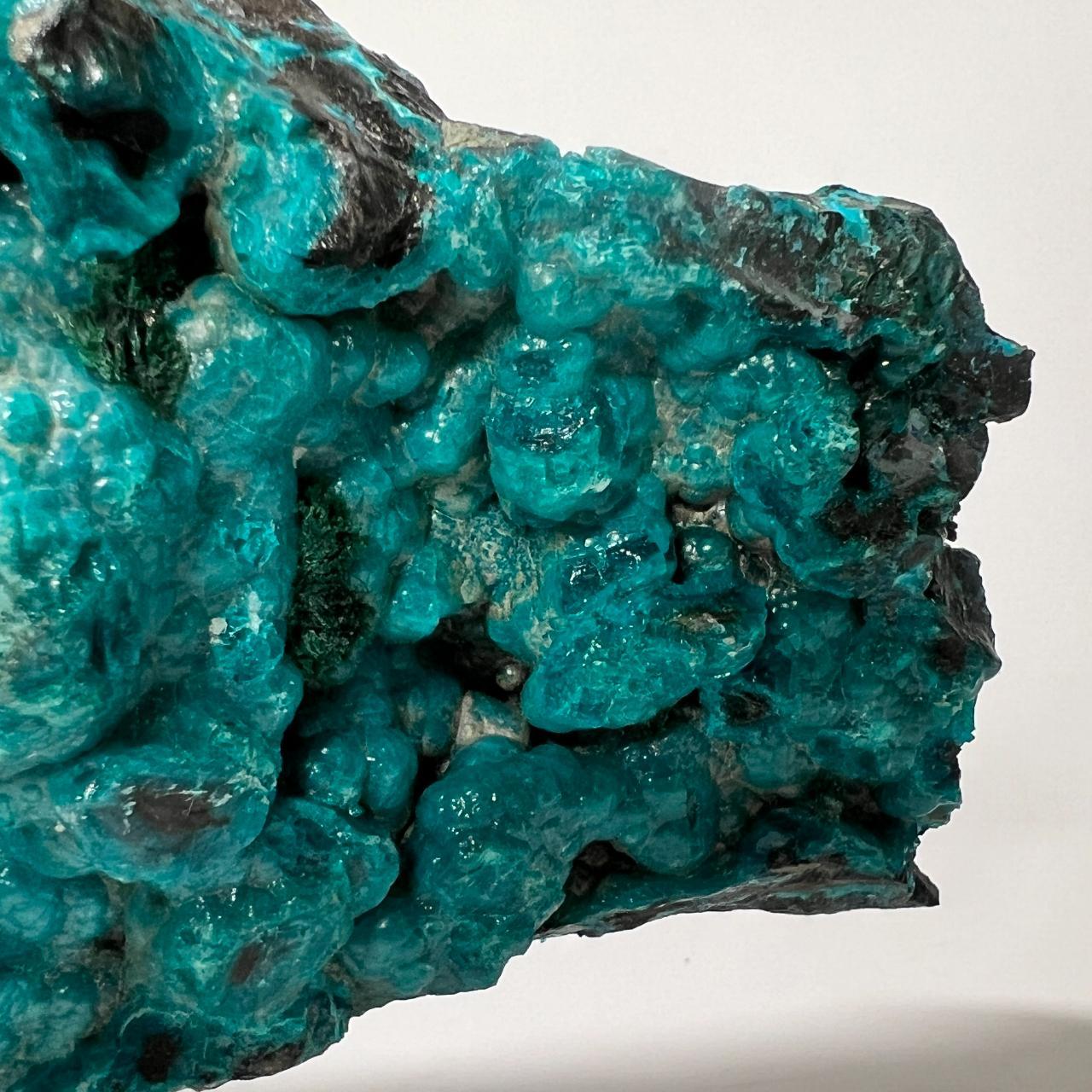 XL Gemmy Botryoidal Chrysocolla/Gem Silica from... | Depop