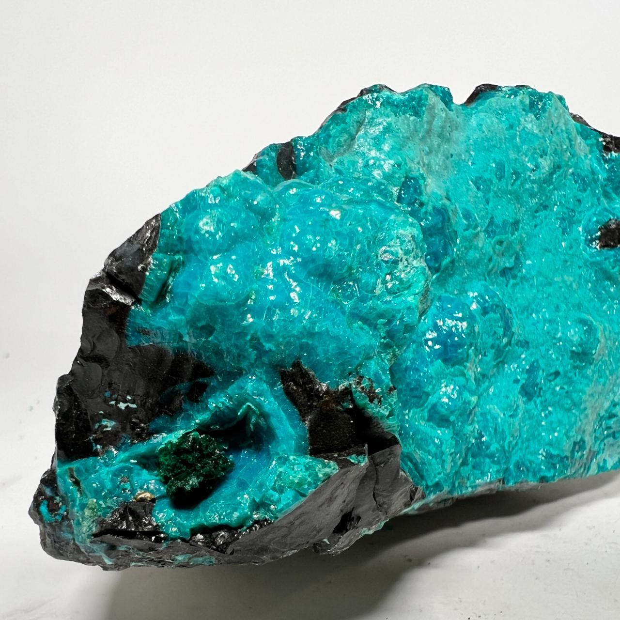 XL Gemmy Botryoidal Chrysocolla/Gem Silica from... - Depop