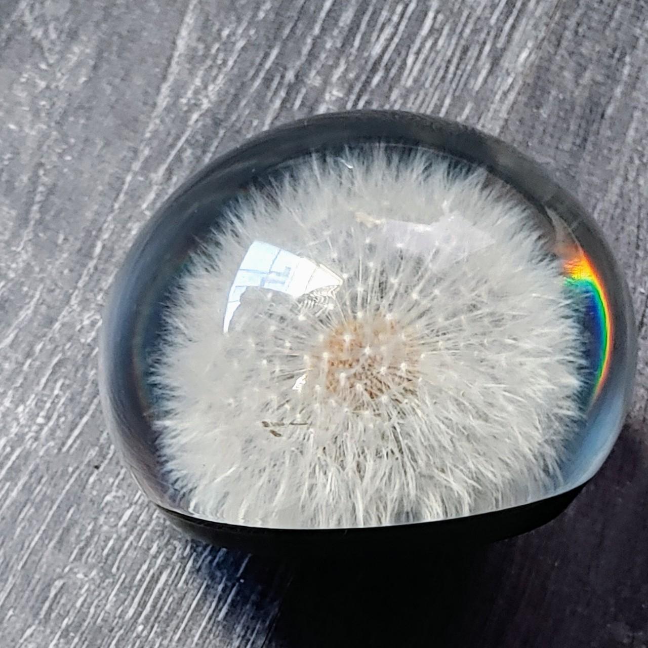 Dandelion paperweight. Canadian produced Tarax... | Depop
