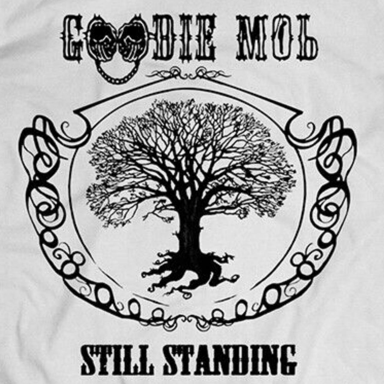 Still Standing Goodie Mob Beautiful Skin Fly Away... - Depop