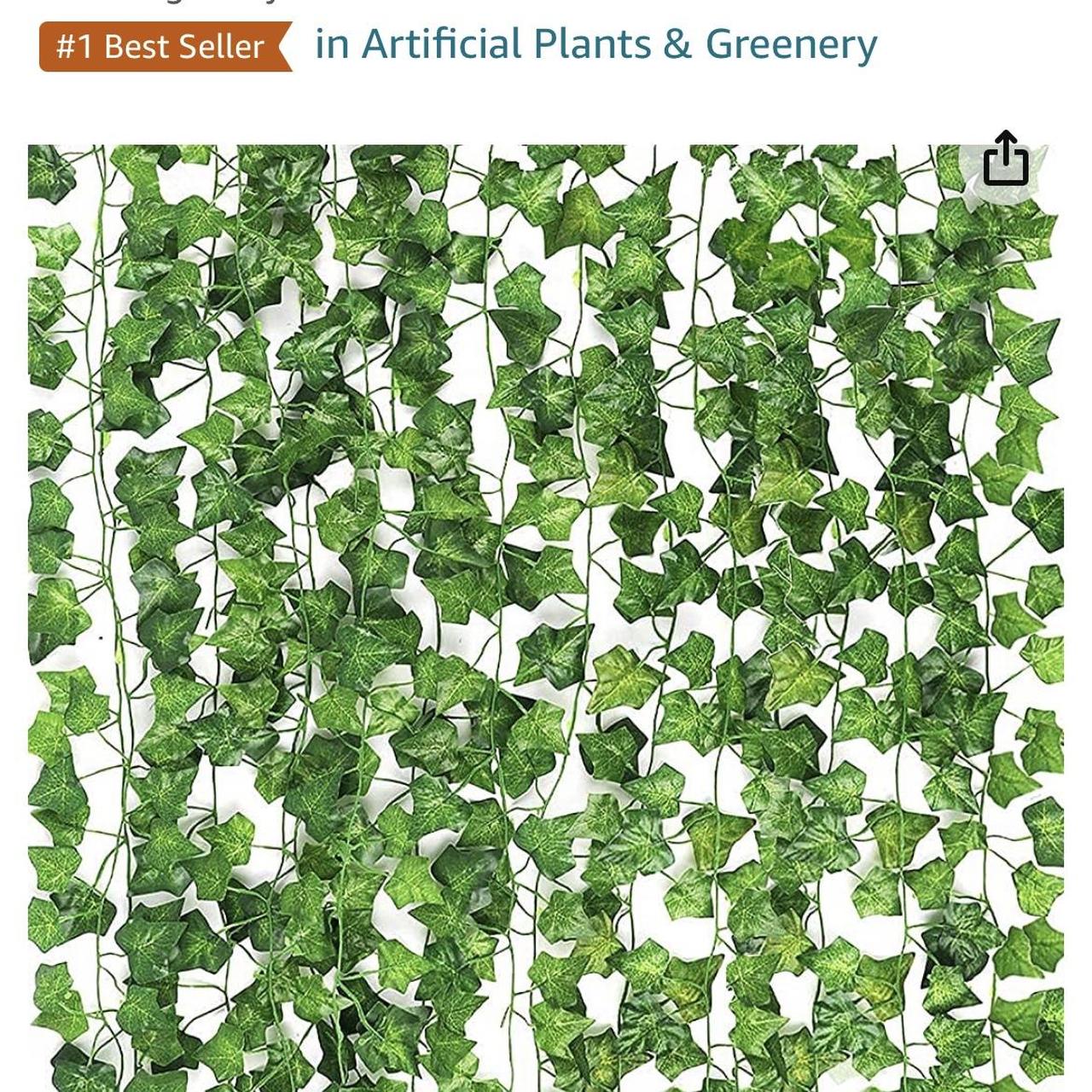 vines maybe 60-80 feet i don’t remember amazon... - Depop