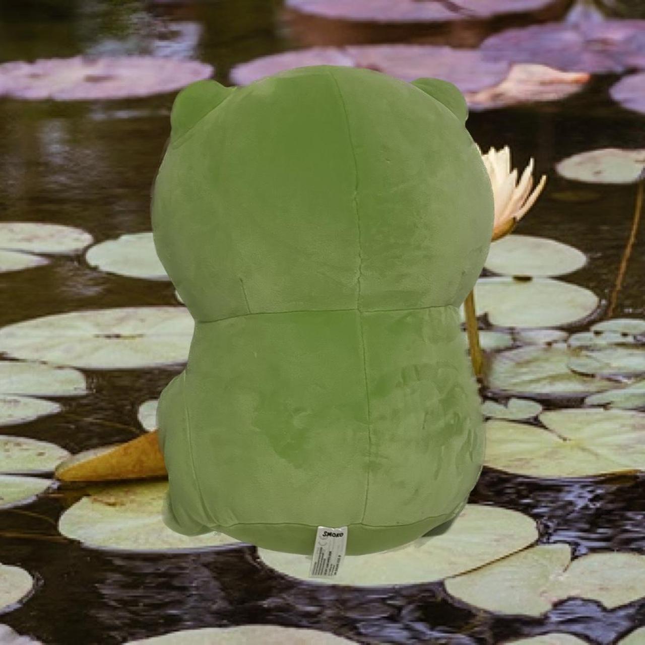 Smoko Frankie Frog Mochi Plush Super ultra soft... - Depop