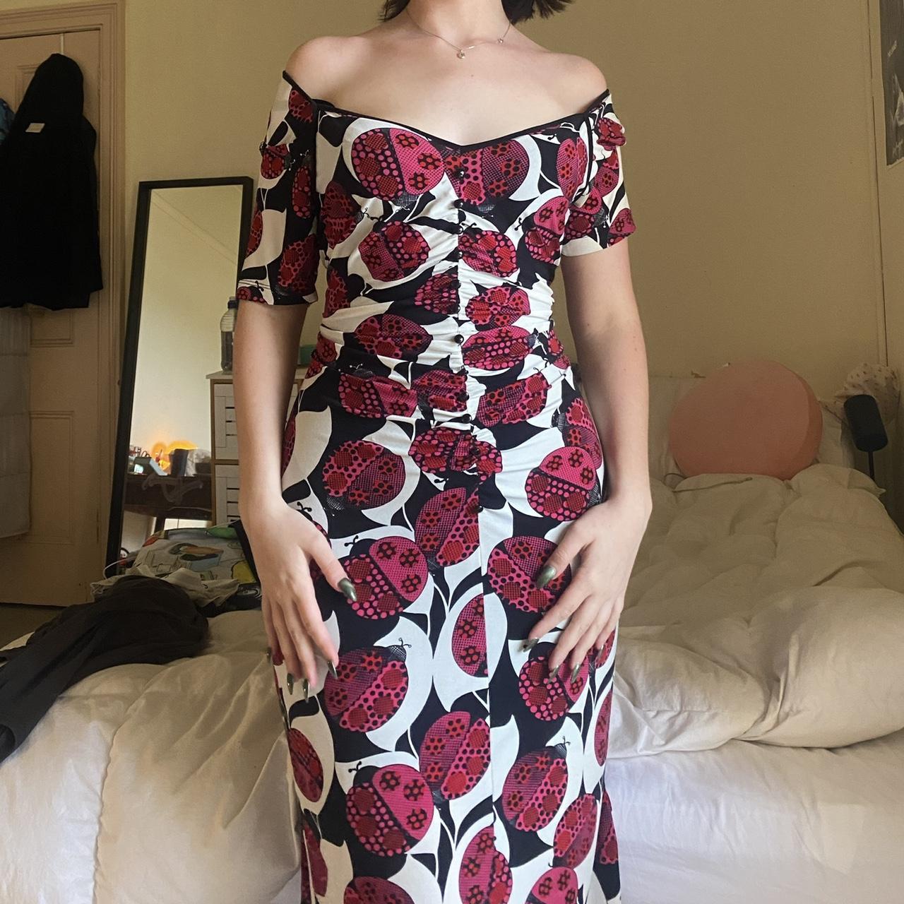 Leona Edmiston ladybug dress 🐞 *pm before buying... - Depop