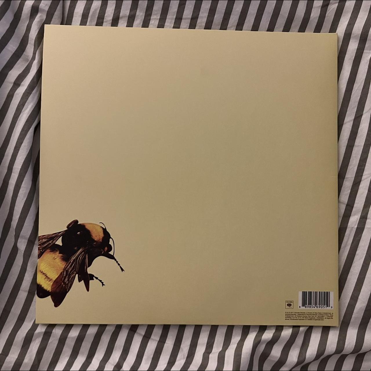 Tyler the Creator Flower Boy vinyl record. gently... - Depop