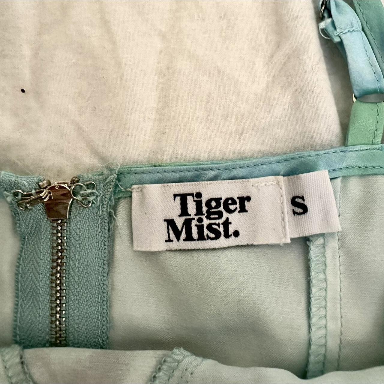 Tiger Mist Teal Corset Top - Only worn a hand full... - Depop