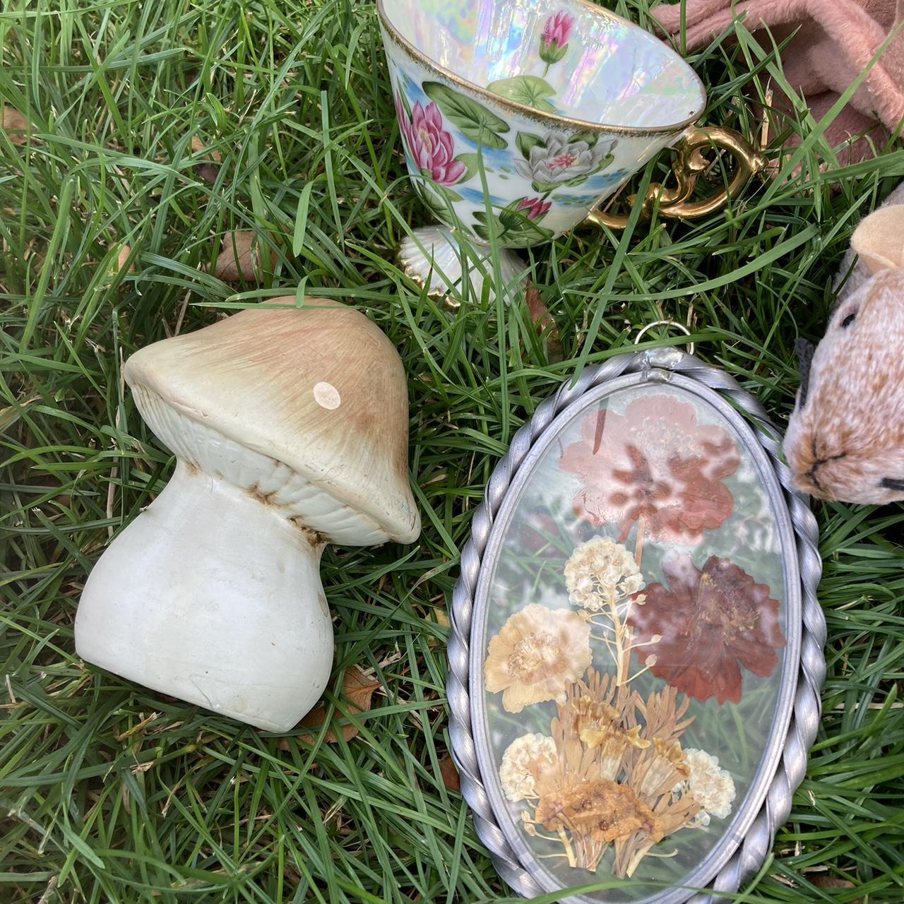 Goblin core oddities bundle!! Comes with everything... - Depop