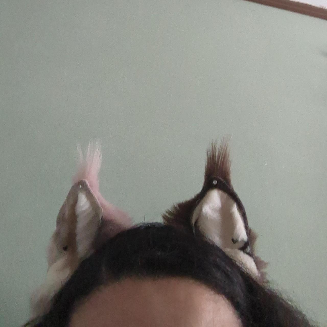 Fluffpuff beans lynx I have other lynx ears I'm... - Depop