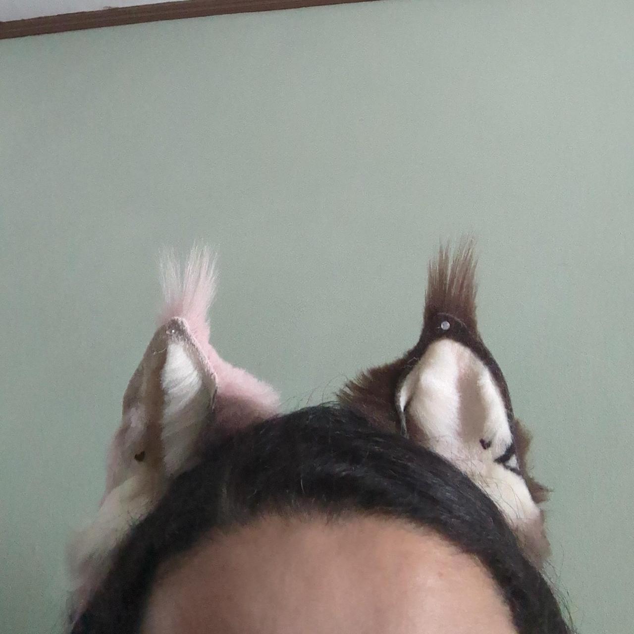 Fluffpuff beans lynx I have other lynx ears I'm... - Depop