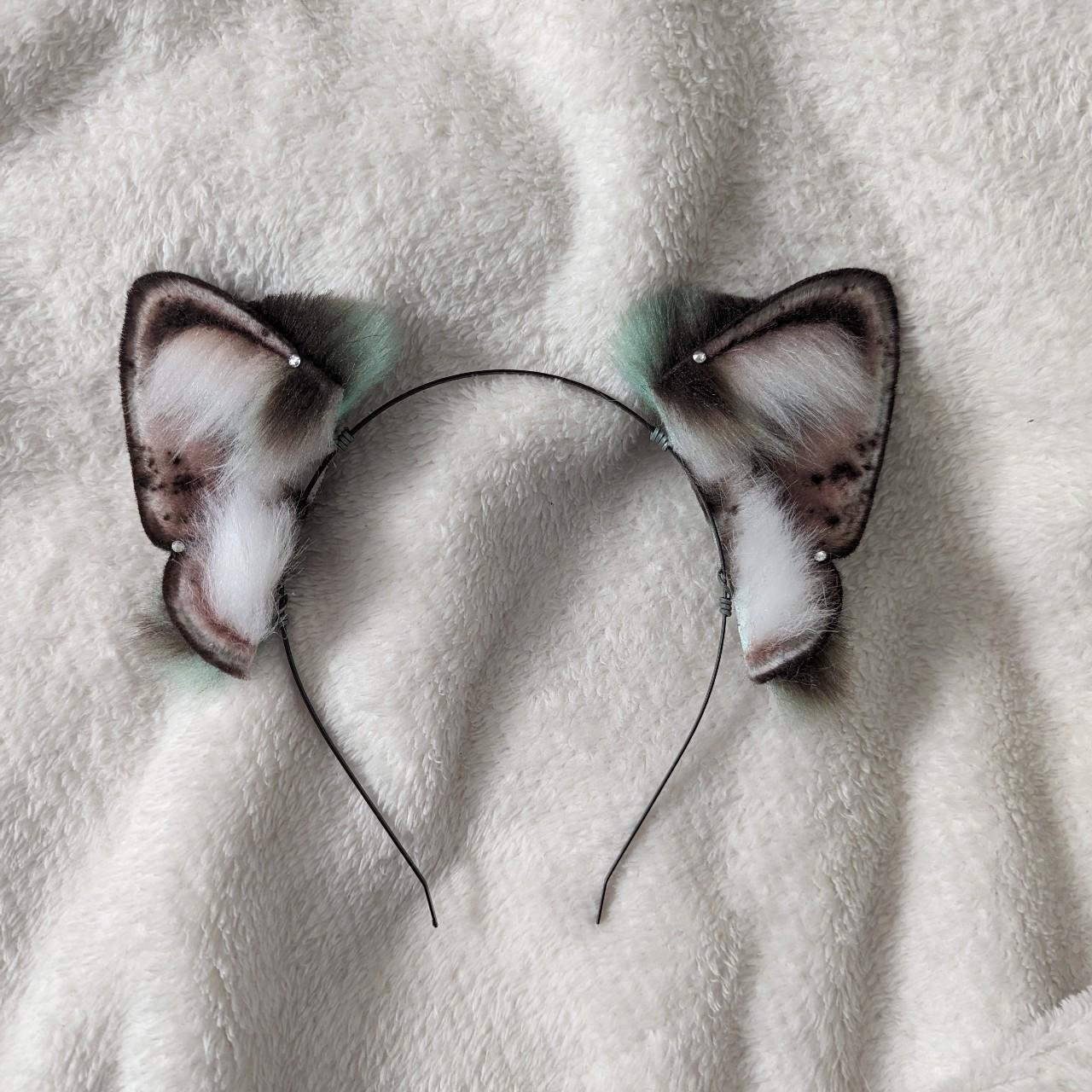 Regalia North Mint chocolate Shiba Inu I love the... - Depop