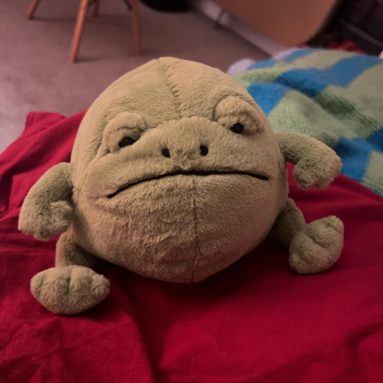 Ricky Rain Frog Jellycat. Like new, never been... - Depop