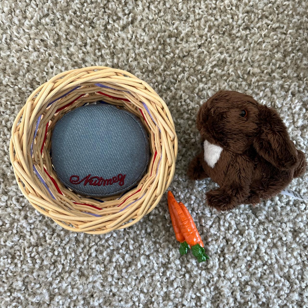 American Girl Doll Julie’s bunny, comes with pet,... - Depop