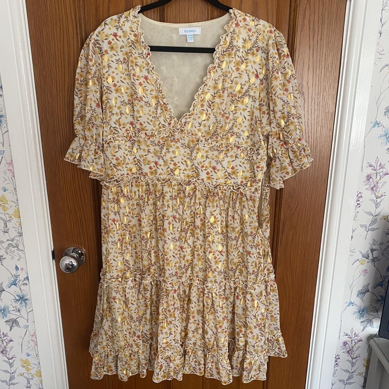 Blue Vanilla Dress - Size 16/XL Great condition and... - Depop