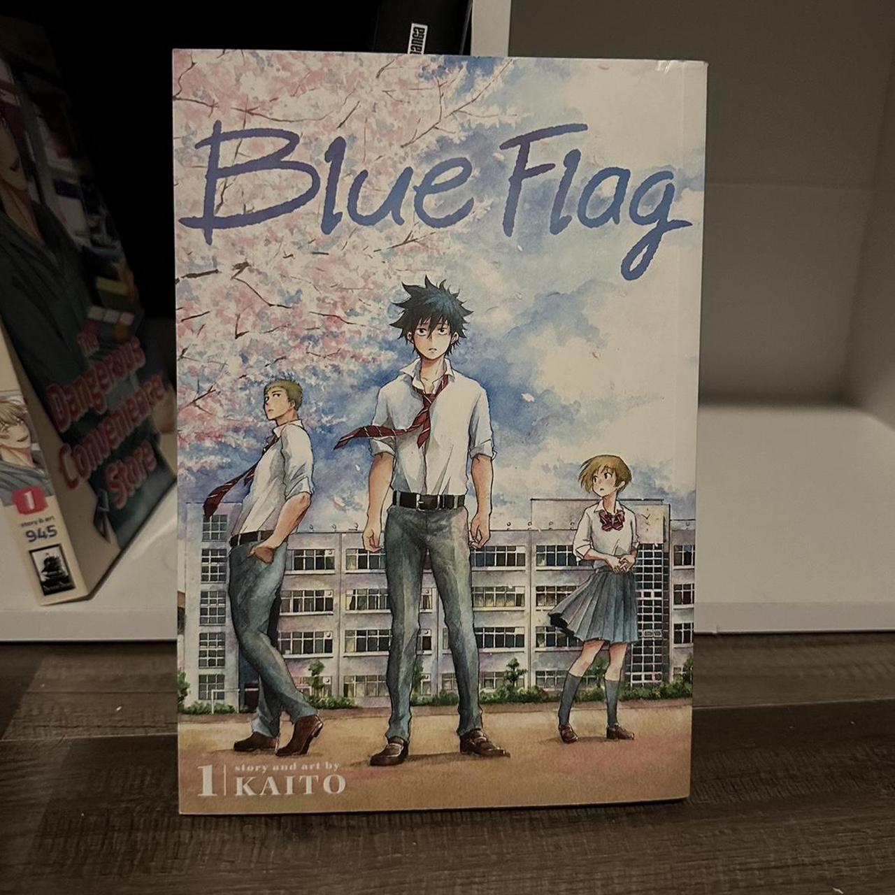 Blue Flag Manga #anime #blueflag #lgbtq #manga - Depop