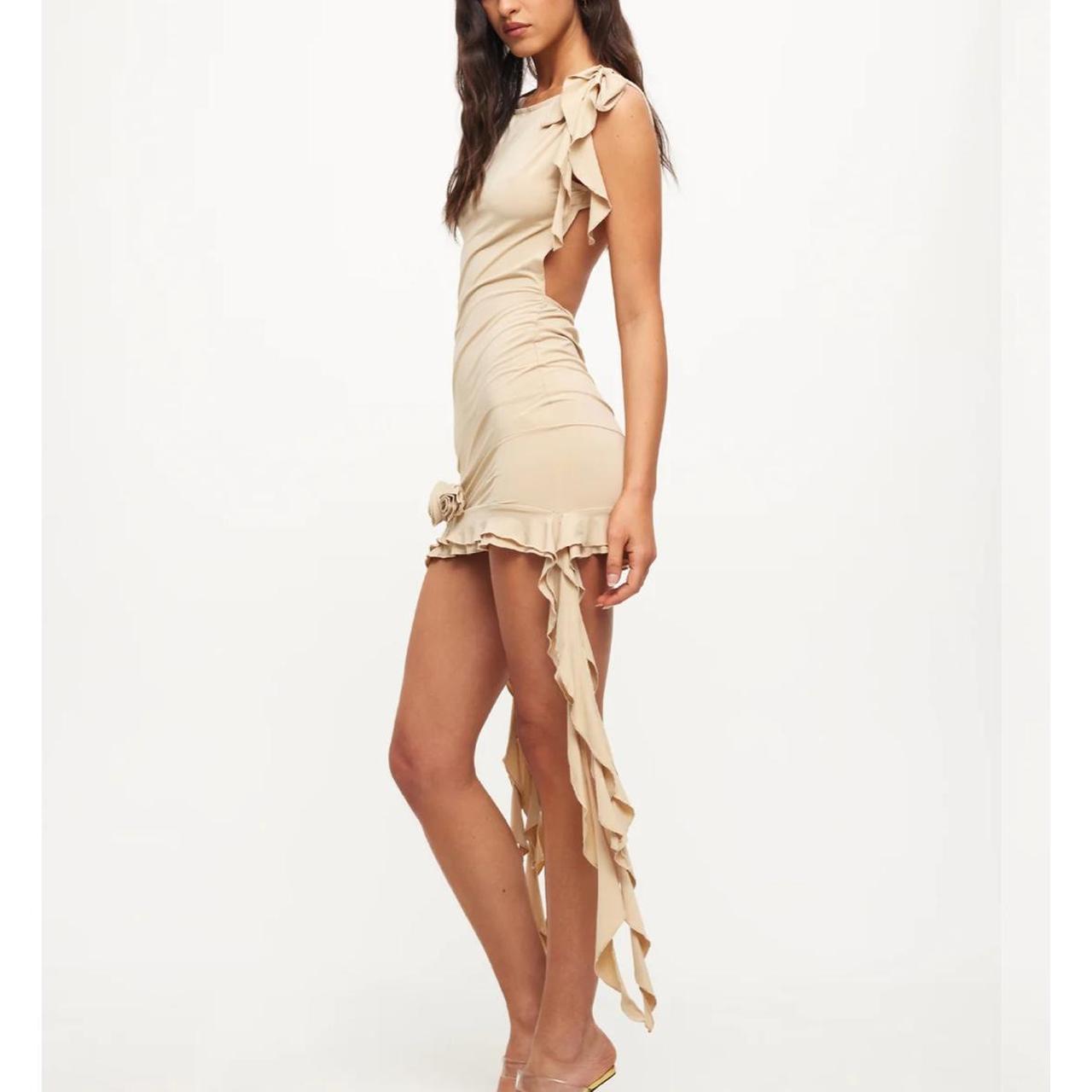 LIONESS OPULENCE MINI DRESS SIZE M really stretchy... - Depop