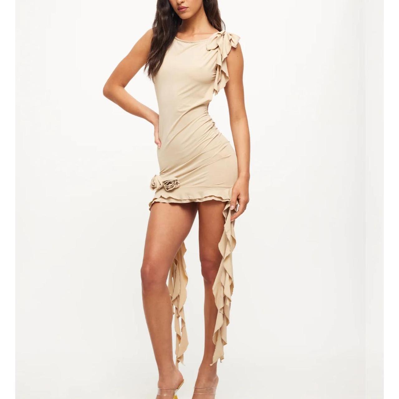 LIONESS OPULENCE MINI DRESS SIZE M really stretchy... - Depop