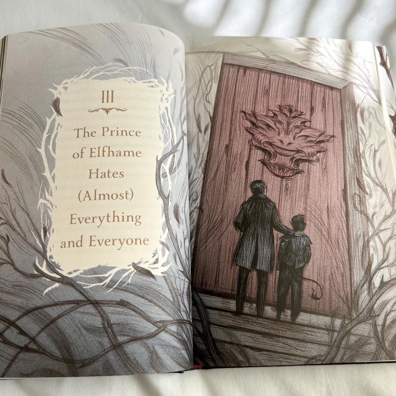 How the King of Elfhame Learned to Hate Stories... - Depop