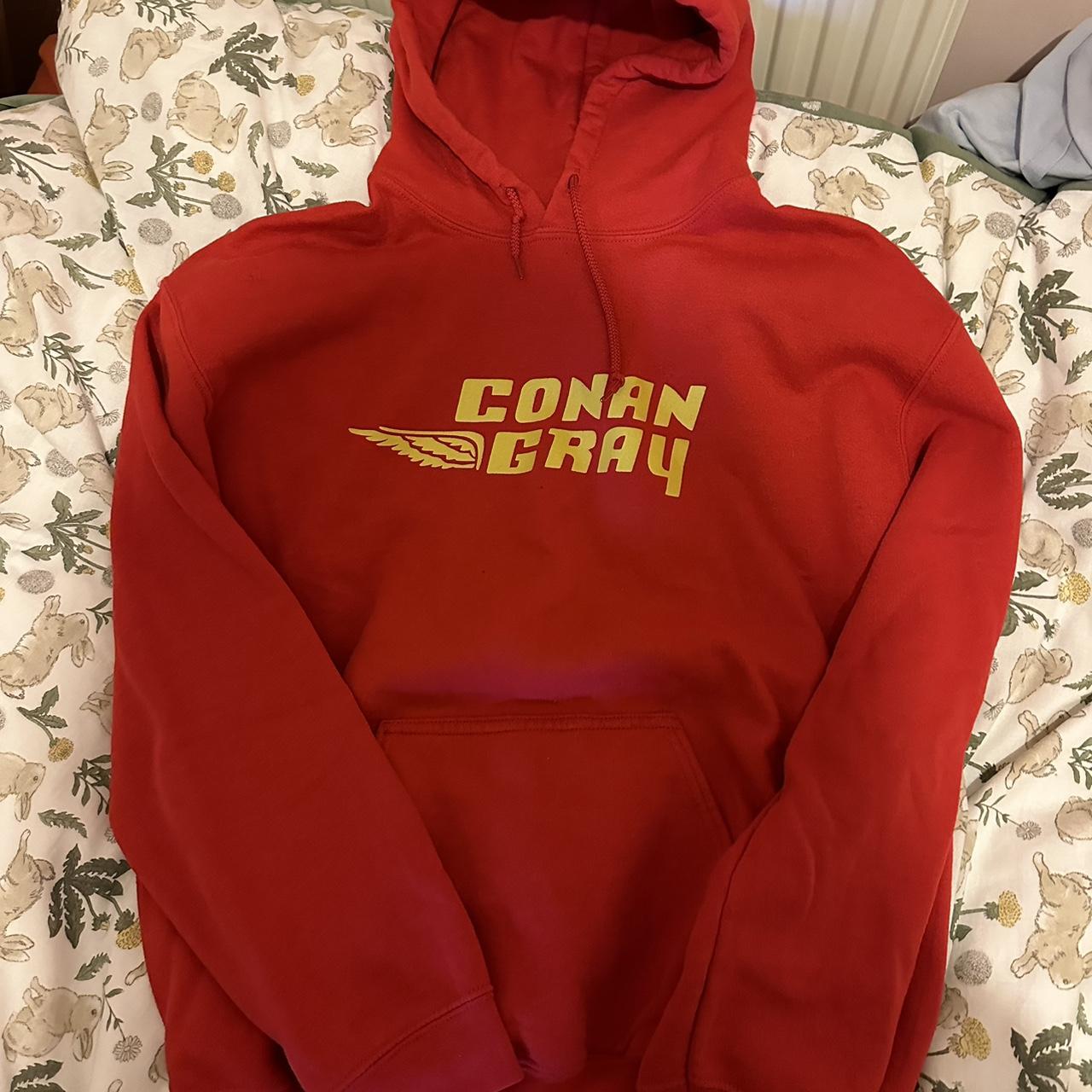 conan gray hoodie, bought from his 2019 tour & don’t... - Depop