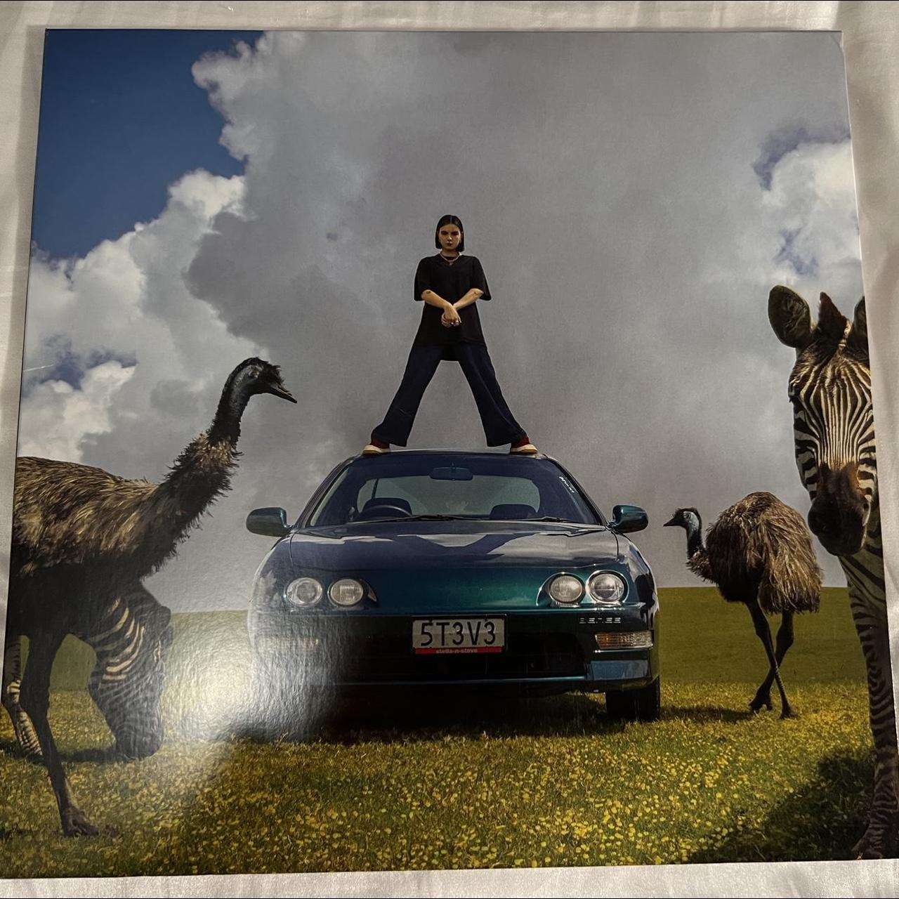 Benee Vinyl - Fire On Marzz / Stella And Steve ... - Depop