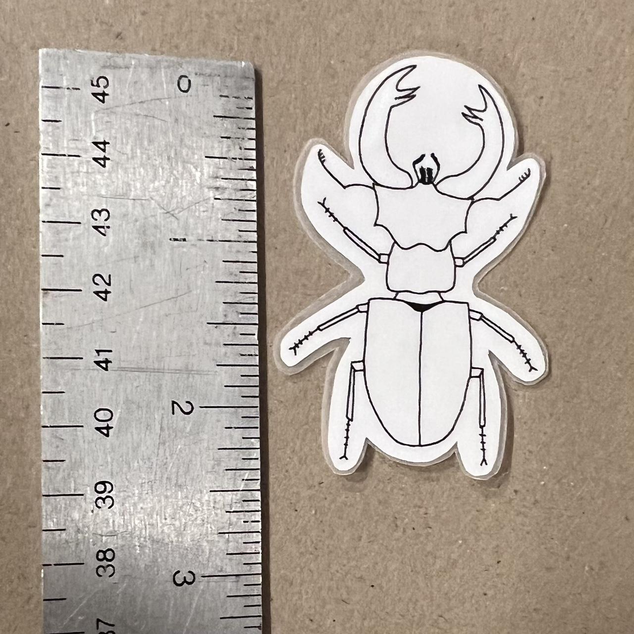 Stag beetle sticker These handmade stickers are my... - Depop