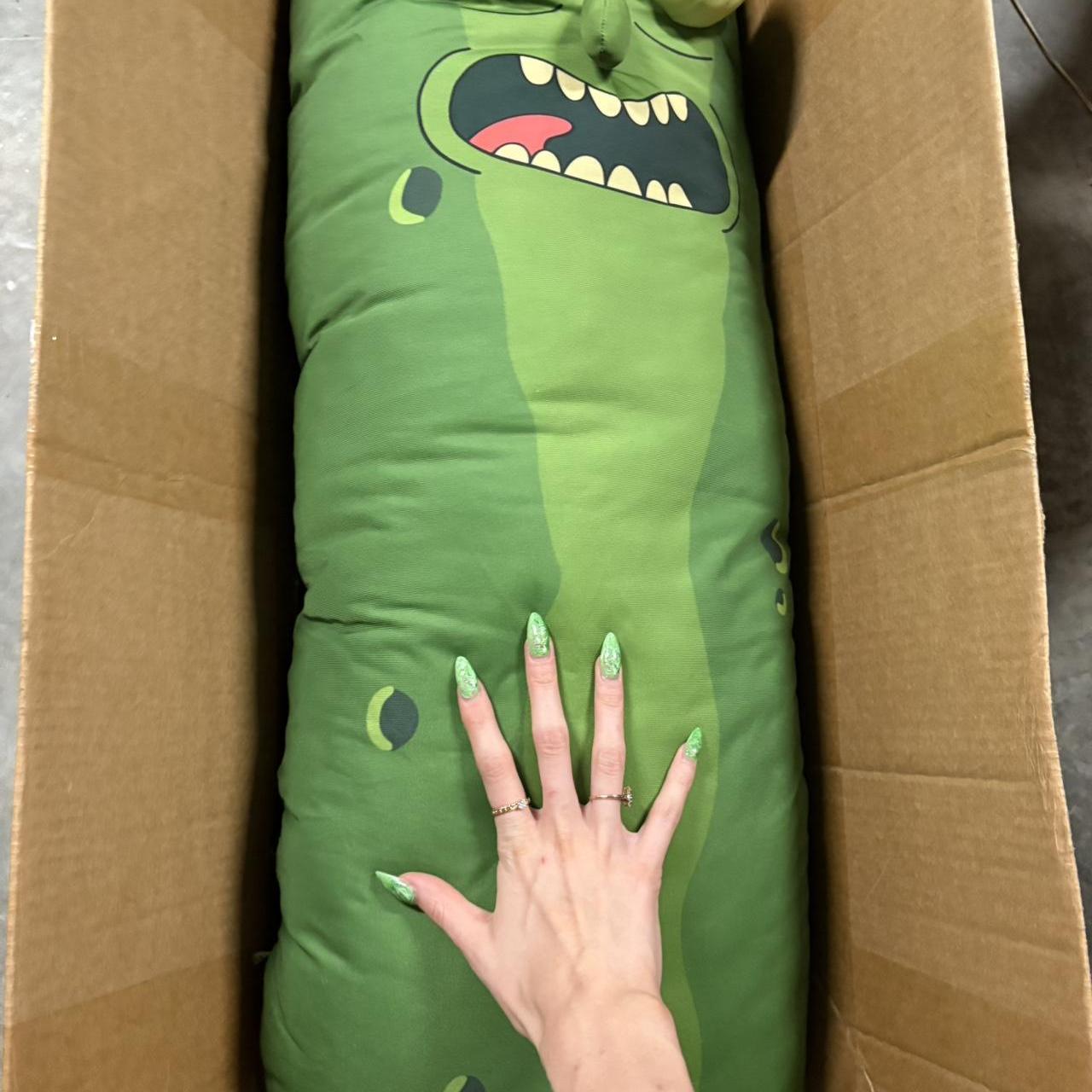 Pickle Rick plush #RickAndMorty It’s huge if u want... | Depop