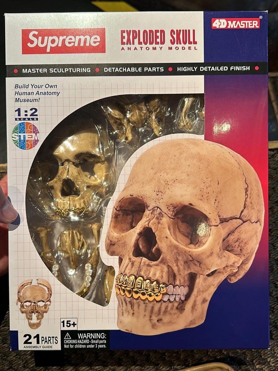 Supreme Skull Supreme Model Skull 4D One Size... - Depop